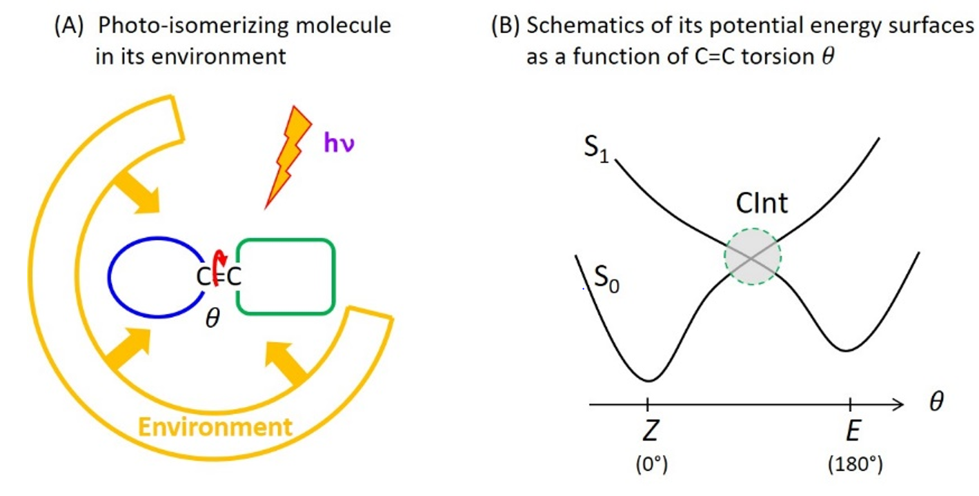 Ultrafast photoisomerization - Institut de Physique et Chimie des ...